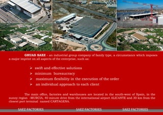 SAEZ PRESENT CRANES_ English | PDF