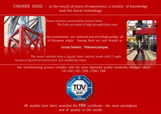 SAEZ PRESENT CRANES_ English | PPT