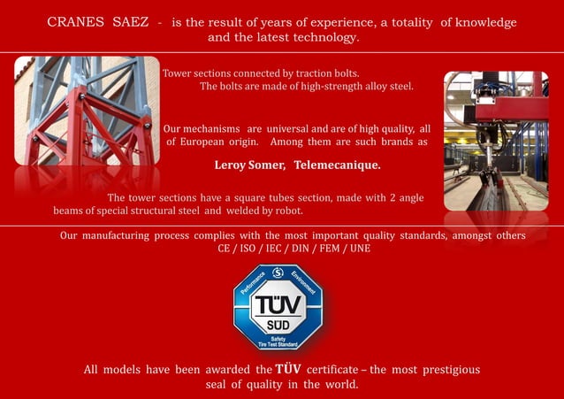 SAEZ PRESENT CRANES_ English | PPT