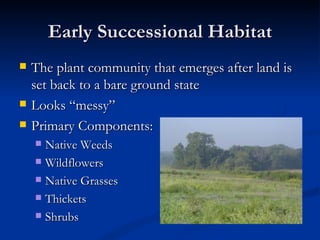 Early Successional Habitat | PPT