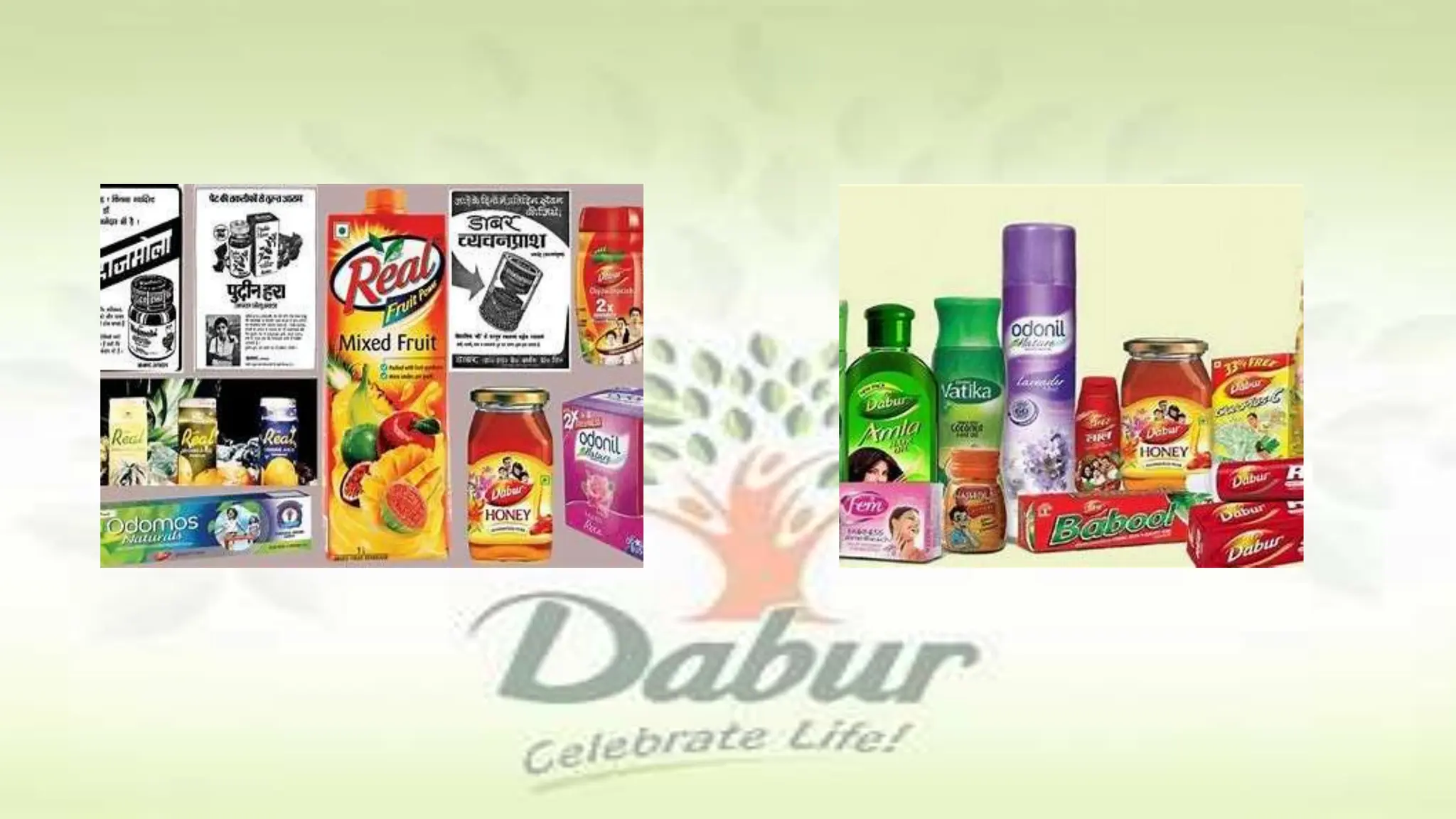 dabur presentation.pptx is the h top fmcg | PPTX