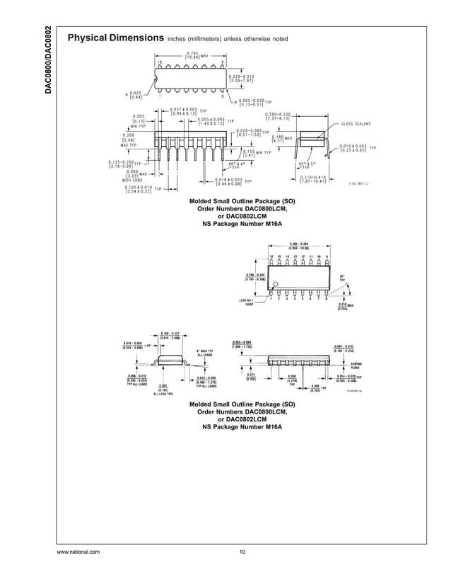 DAC0800 8-Bit DAC Datasheet | PDF