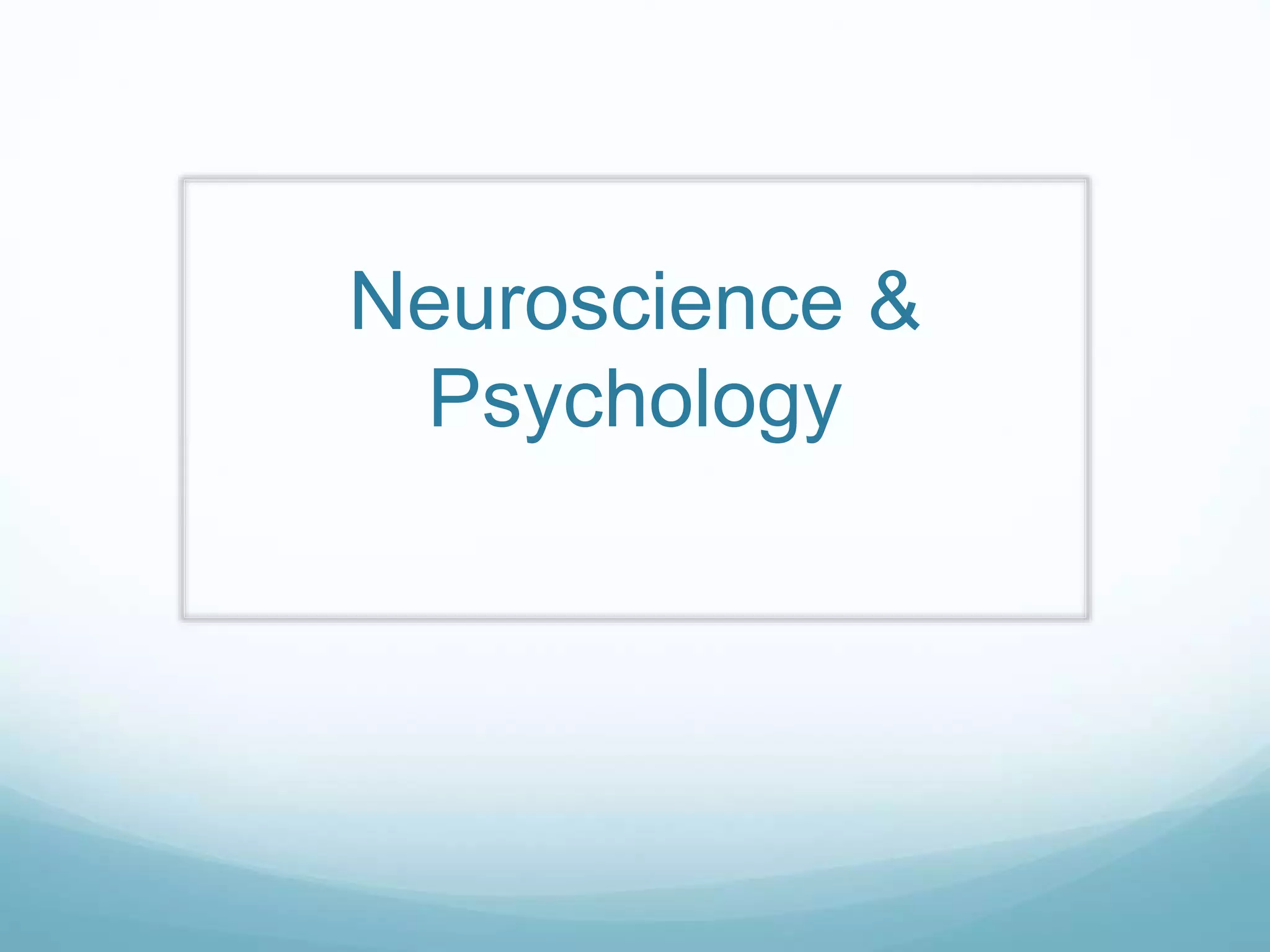 neuro-lecture 2 | PPT