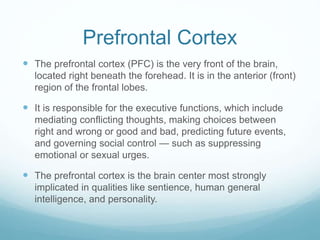 neuro-lecture 2 | PPT