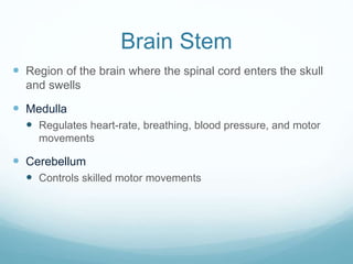 neuro-lecture 2 | PPT