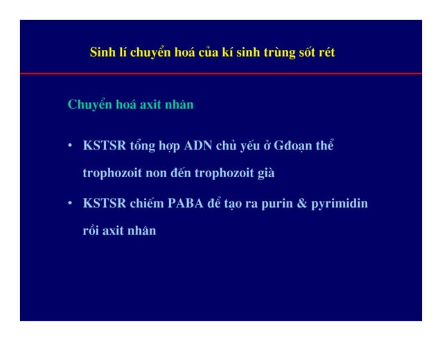 Dac diem ki sinh trung sot ret nguyen ngoc san | PPT