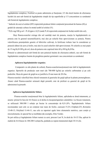 DACHE SANDEL(2).docx