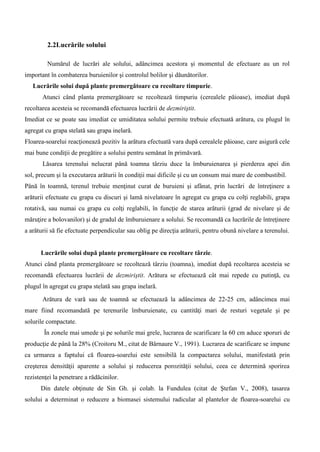 DACHE SANDEL(2).docx