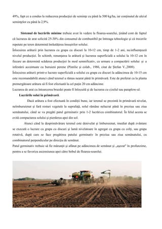 DACHE SANDEL(2).docx