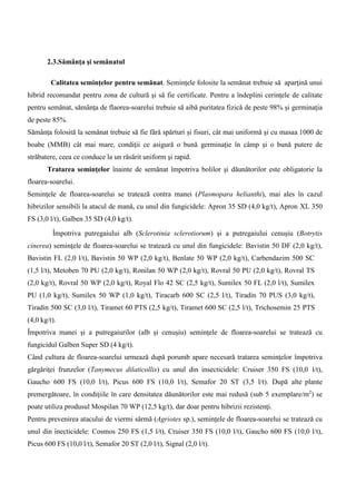 DACHE SANDEL(2).docx