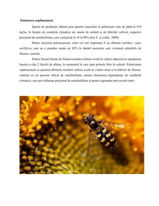 DACHE SANDEL(2).docx