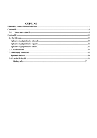 DACHE SANDEL(2).docx