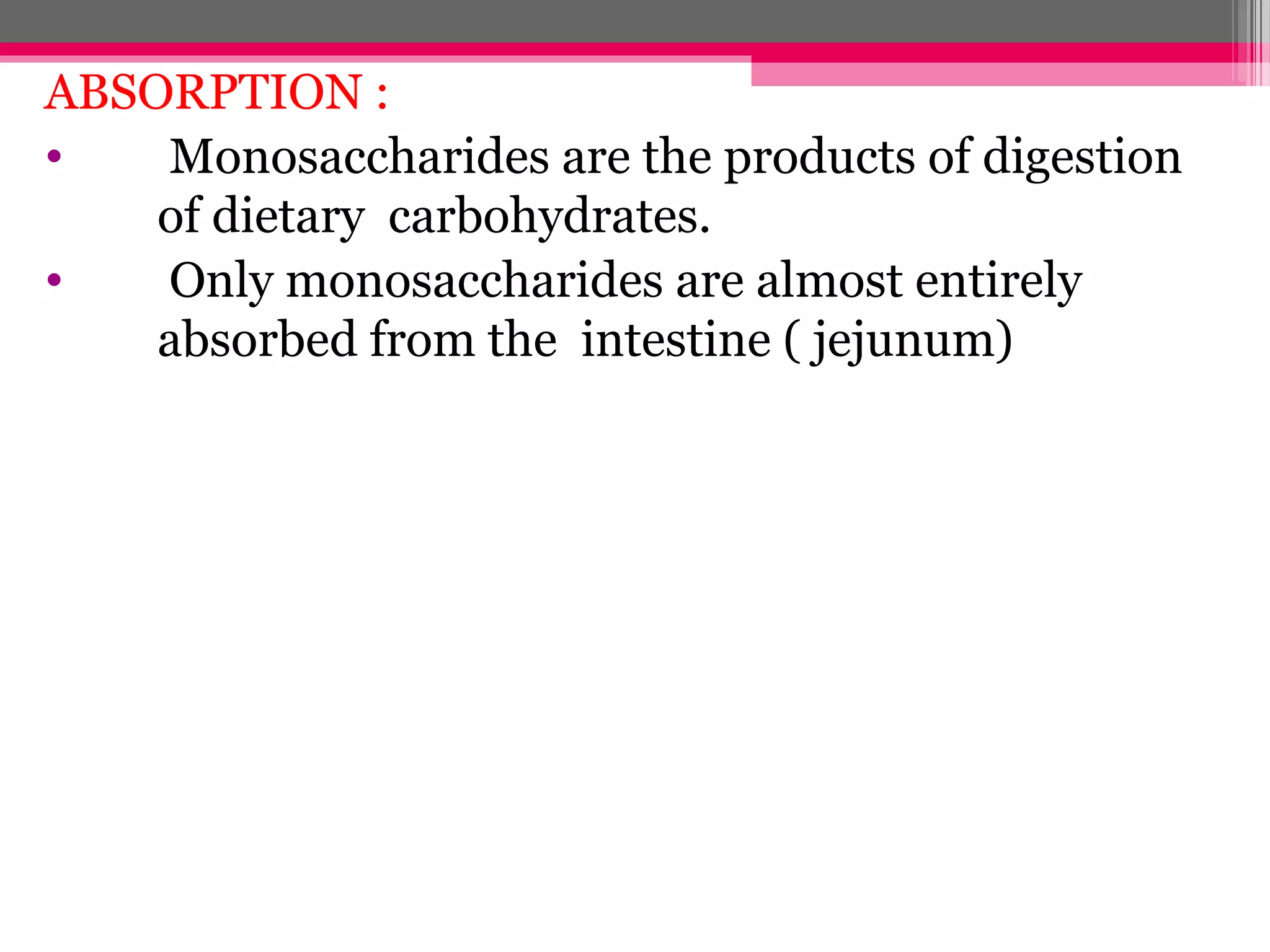 Digestion and Absorption of Carbohydrates | PPT