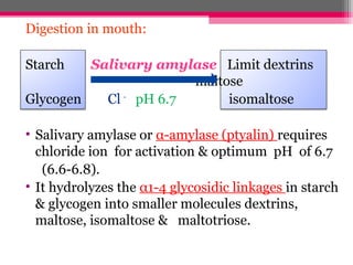 Digestion and Absorption of Carbohydrates | PPT