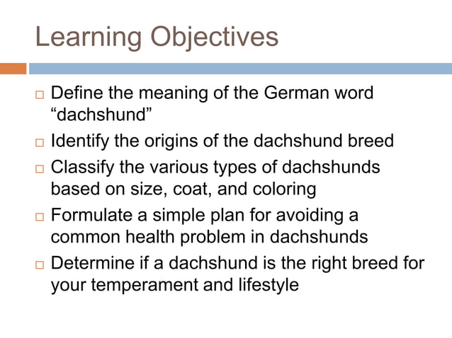 Dachshund power point | PPTX