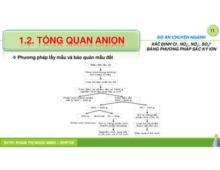 Dacn pham thi ngoc minh dhpt06 | PPT