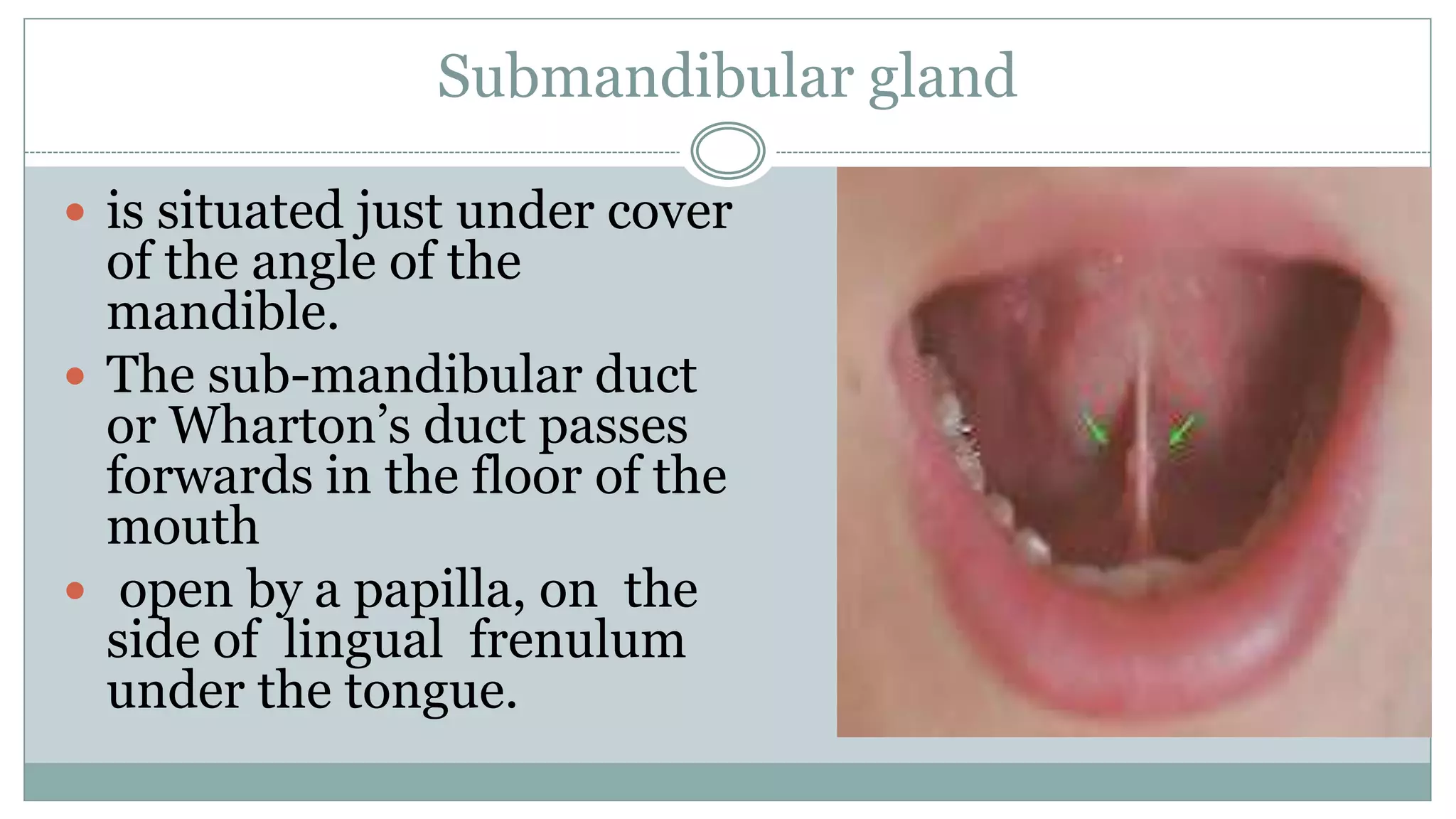 Dacrocysstography and Sailography | PPTX