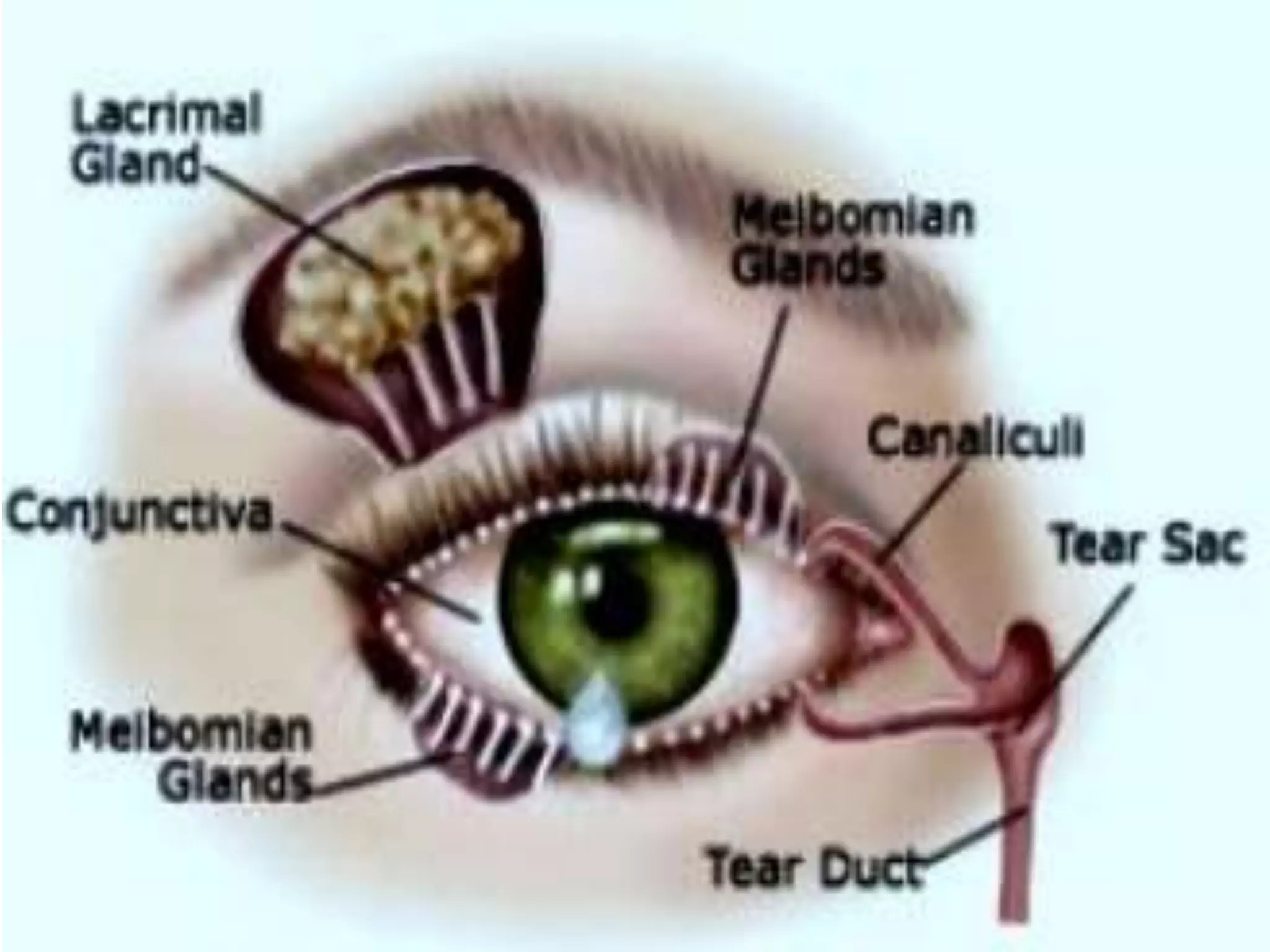 Dacrocystography | PPTX