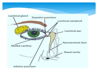 Dacrocystography | PPTX