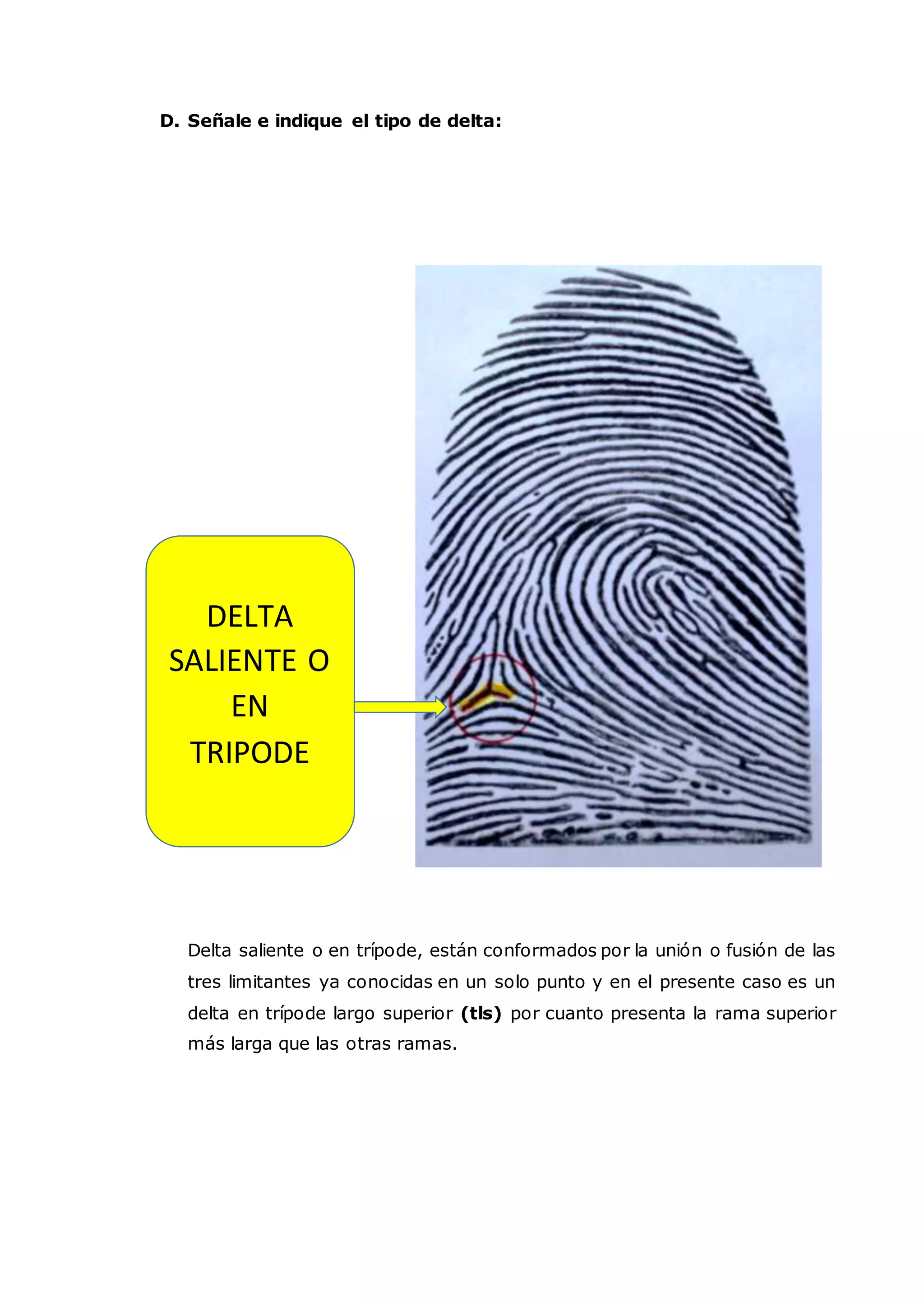 Dactilograma | DOCX | Geography | Science
