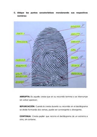 Dactilograma | DOCX