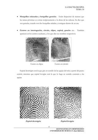 Dactilogramas | PDF