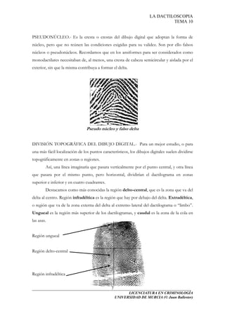 Dactilogramas | PDF