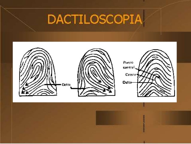 Dactiloscopia