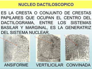 dactiloscopia.pptx inicial principiantes | PPTX