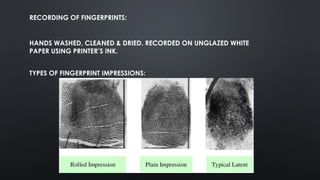 Dactylography is the study of fingerprints in human | PPTX