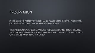 Dactylography is the study of fingerprints in human | PPTX | Crime ...