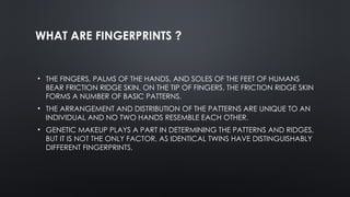 Dactylography is the study of fingerprints in human | PPTX | Crime ...