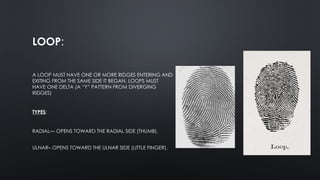 Dactylography is the study of fingerprints in human | PPTX | Crime & Harmful Acts to Individuals ...