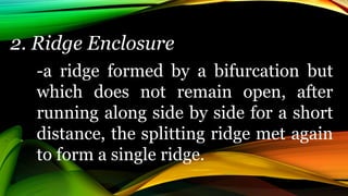 "DACTYLOSCOPY-Demo for educationals.pptx