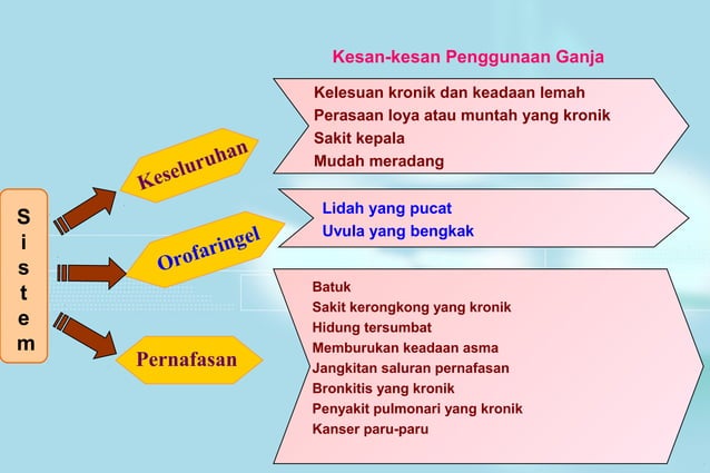 ( Dadah tindakbalas dan kesan inhalan, rokok,alkohol,dadah) | PPT