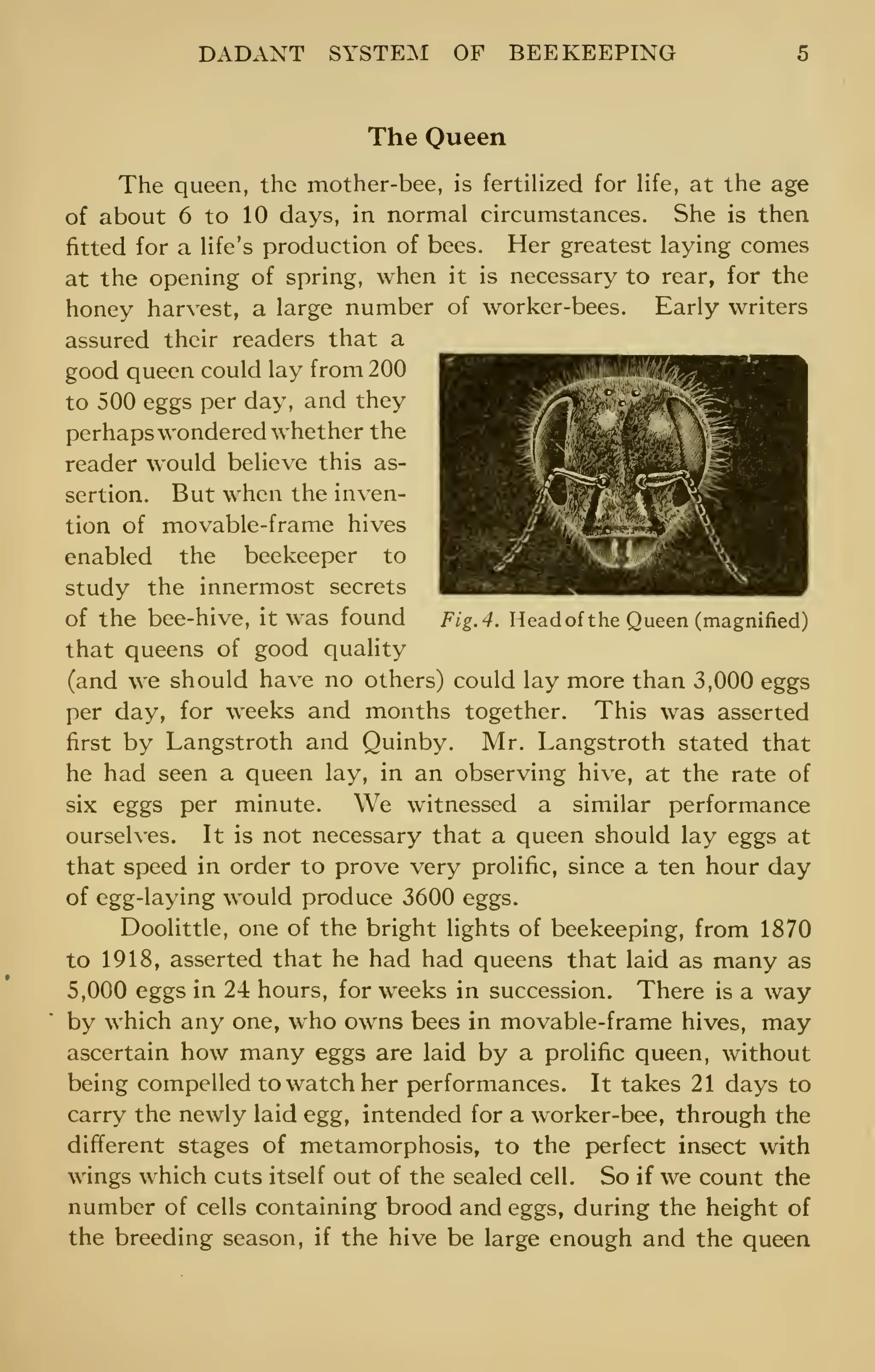 Dadant system of beekeeping 1920.pdf