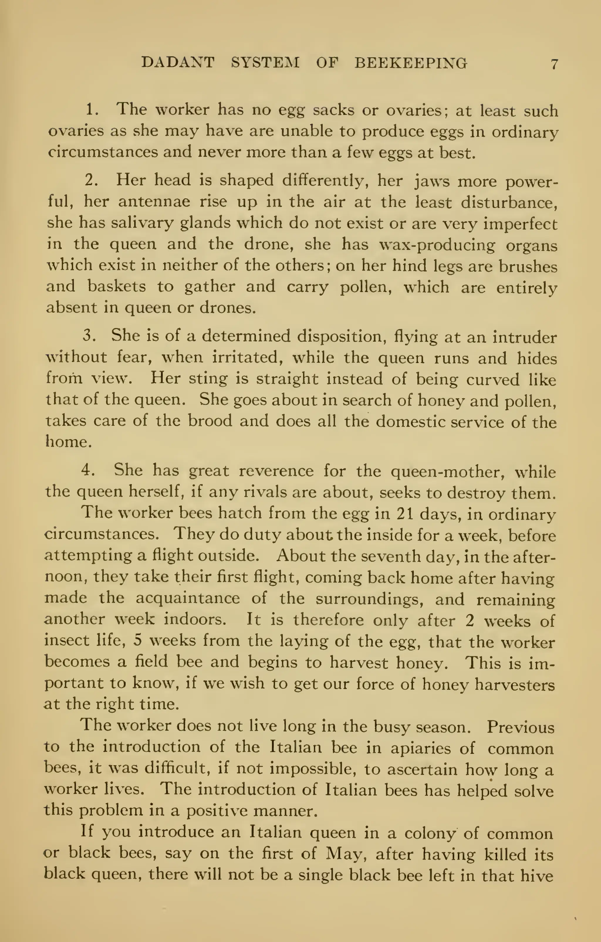 Dadant system of beekeeping 1920.pdf