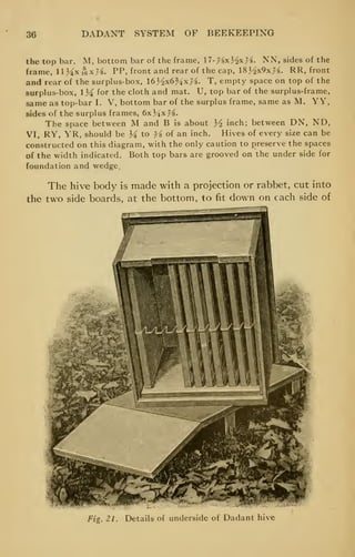 Dadant system of beekeeping 1920.pdf