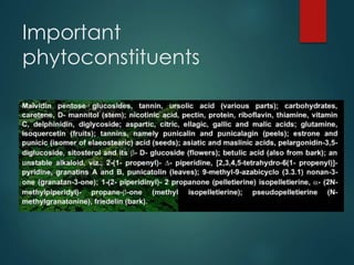 Dadim presentation for ayurveda Students | PDF