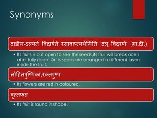 Dadim presentation for ayurveda Students | PDF