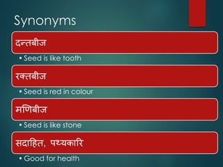 Dadim presentation for ayurveda Students | PDF