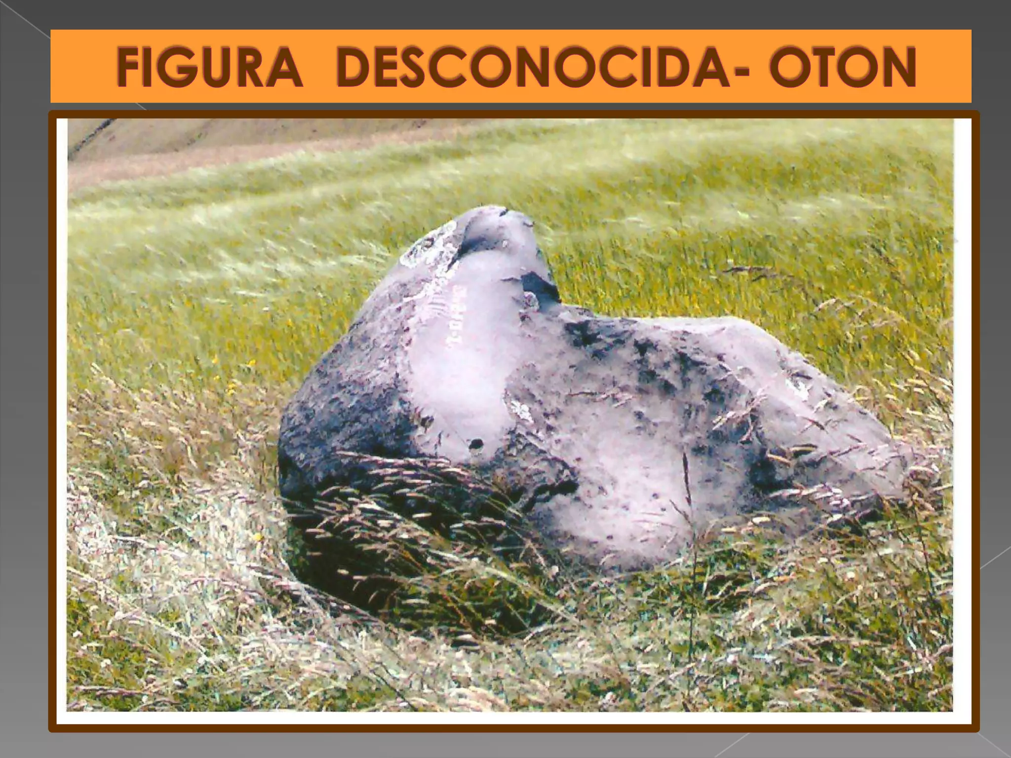 Petroglifos del Ecuador - Pablo Guaña | PPTX | Geography | Science