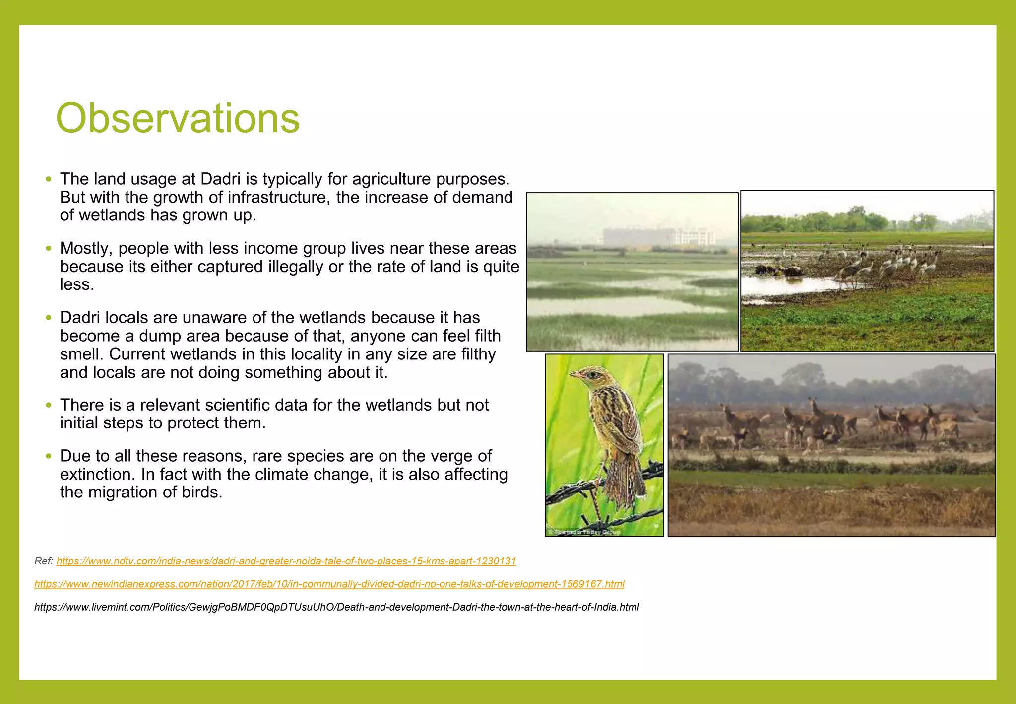 Dadri Wetlands | PPT