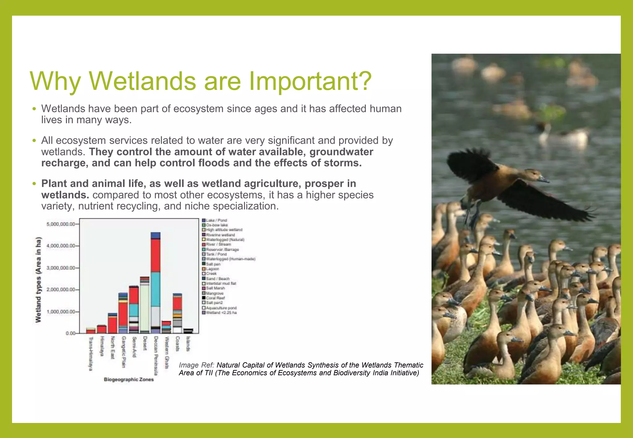 Dadri Wetlands | PPT