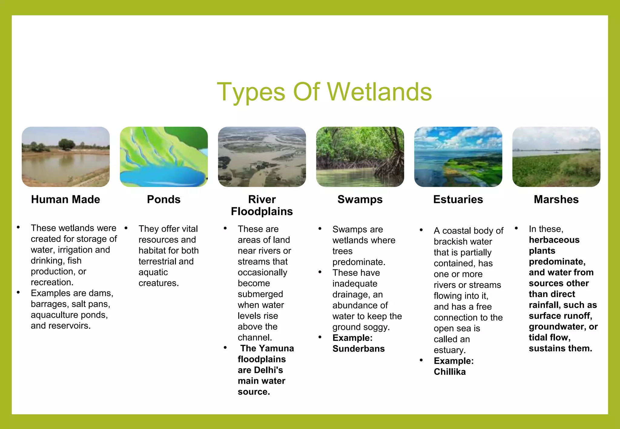 Dadri Wetlands | PPT