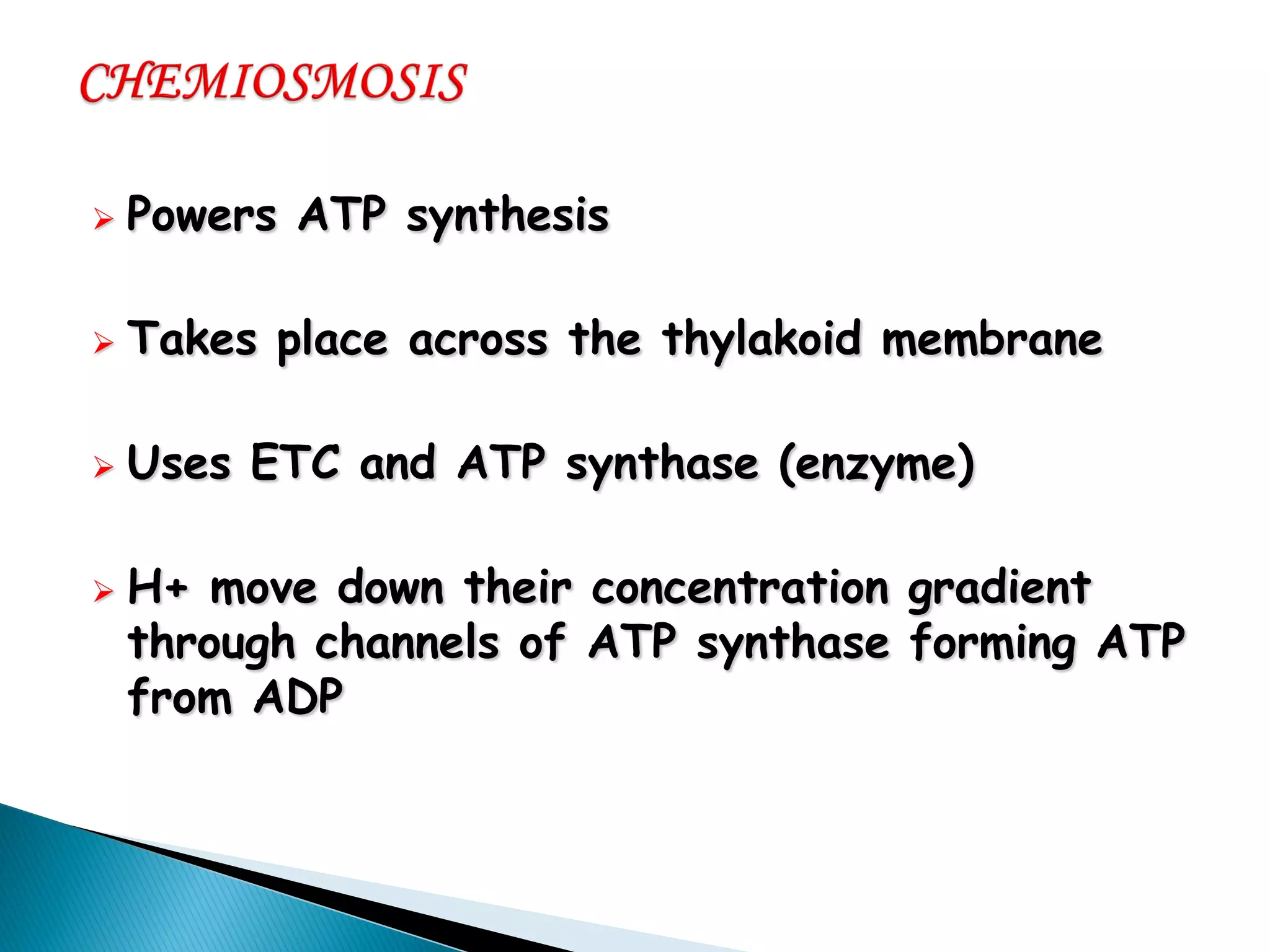 powerpoint presentation on topic photosynthesis | PDF