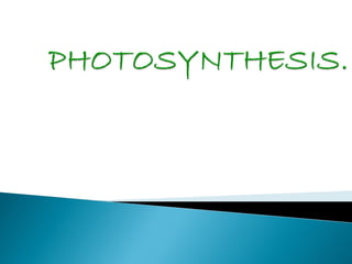 powerpoint presentation on topic photosynthesis | PDF