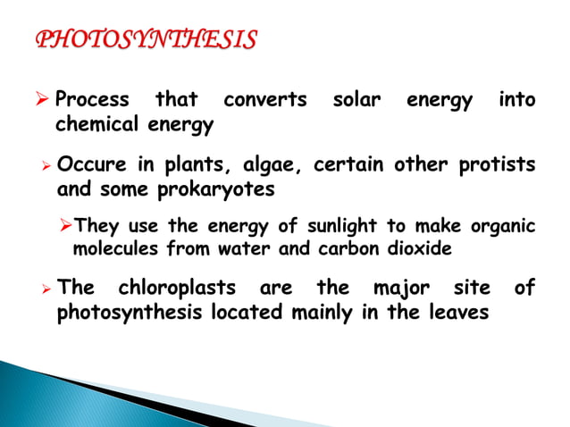 powerpoint presentation on topic photosynthesis | PDF