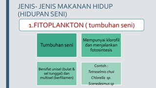 Daf 1042 tv pendidikan | PPT