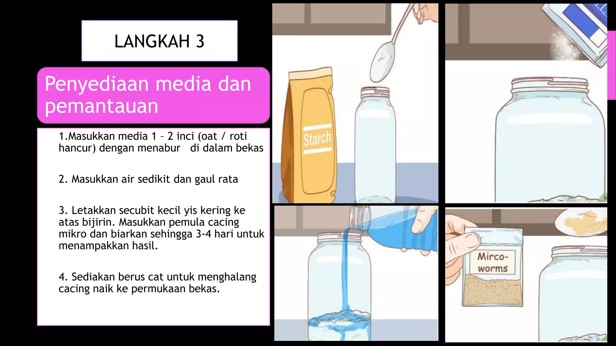 Slide PPT Mikroworm Daf 1042 tv t3 | PPT